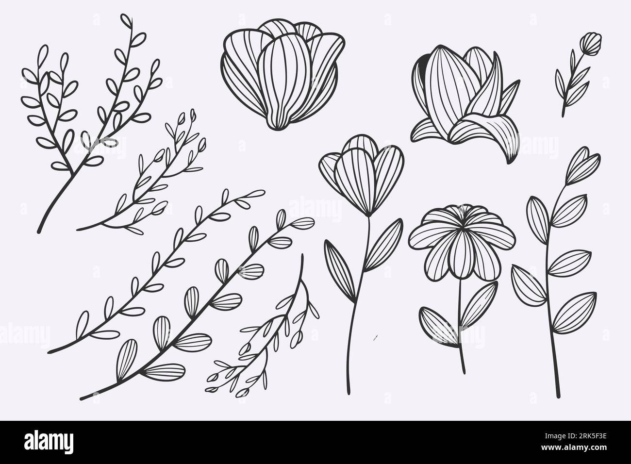 flower leaves doodle hand drawn vector illustration set Stock Vector ...