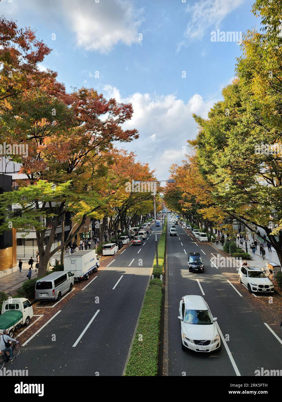 Japan of street trees hi-res stock photography and images - Alamy