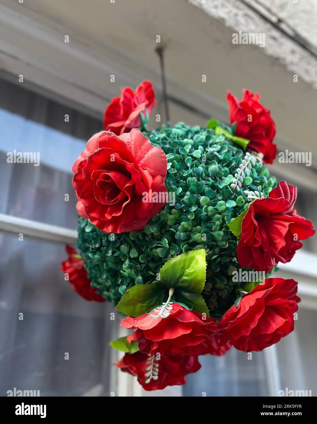 Red flower resembling hi-res stock photography and images - Alamy