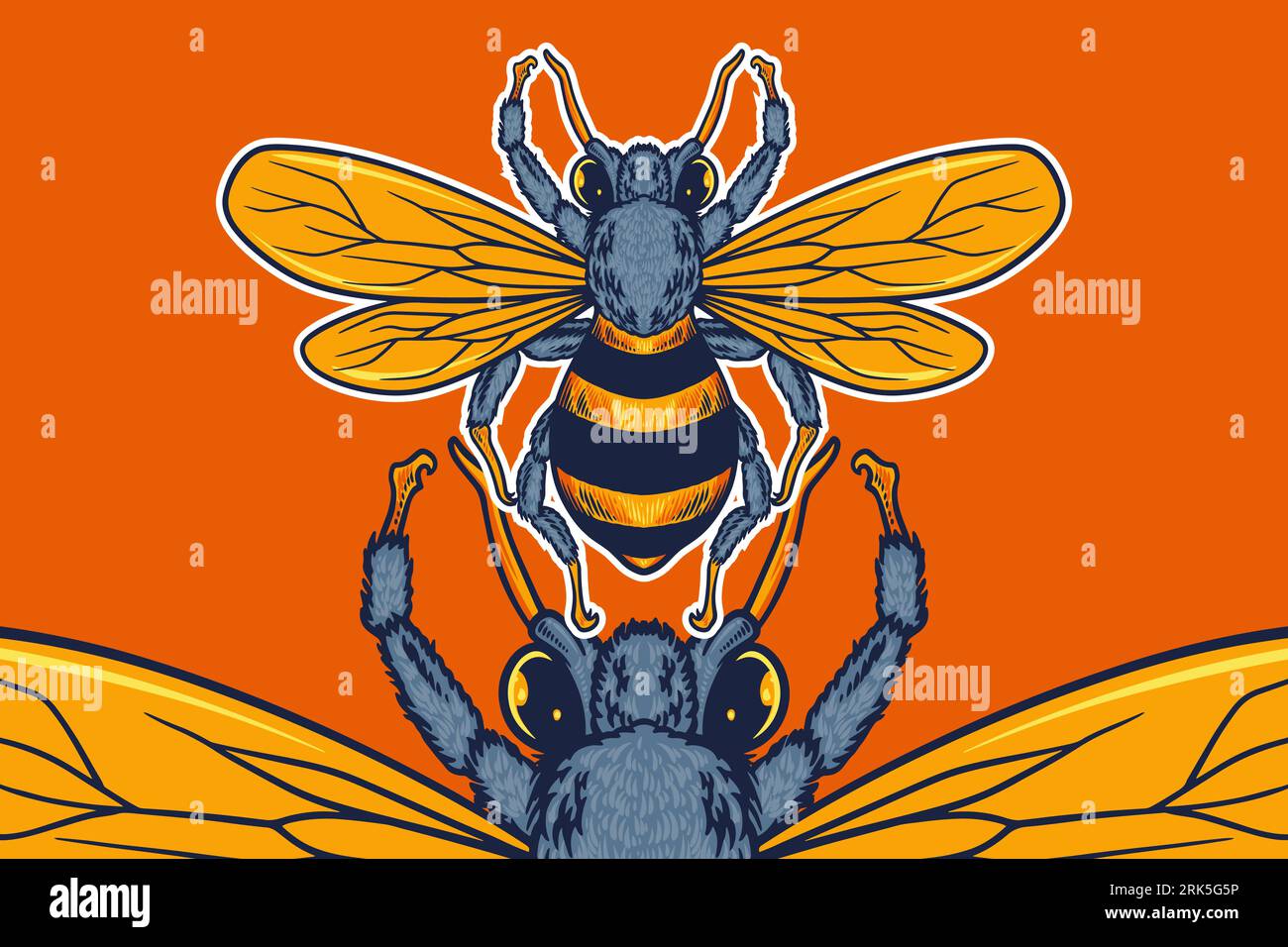 Honey bee head Stock Vector Images - Alamy
