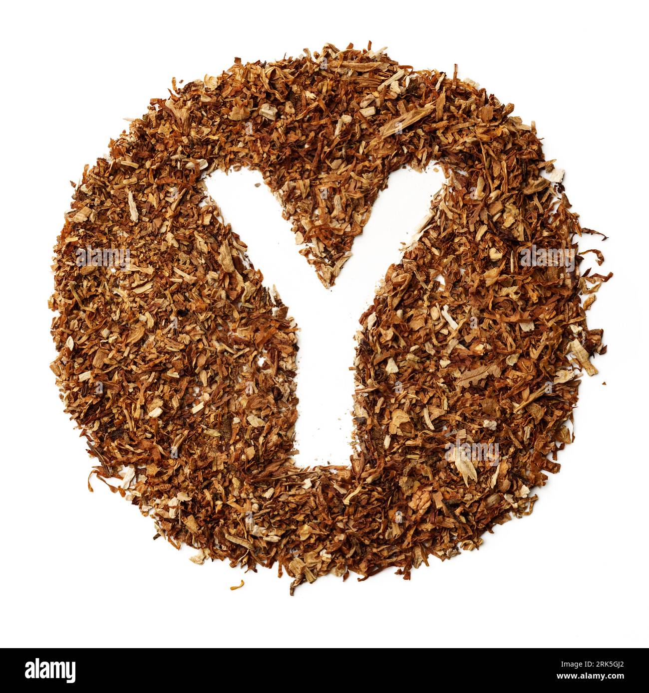 Letter Y made of cigarettes dried smoking tobacco on white background ...