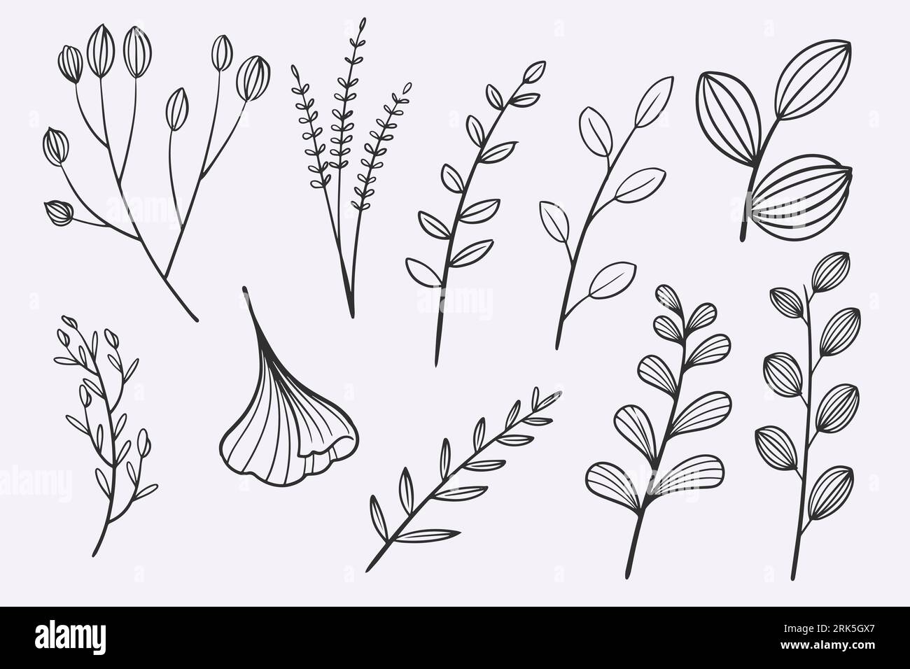 flower leaves doodle hand drawn vector illustration set Stock Vector ...