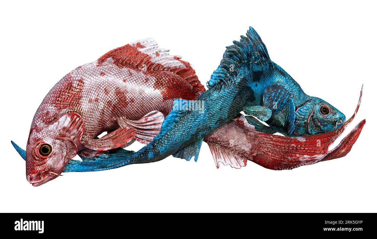 3D rendering of a Pisces zodiac sign with red and blue fish isolated on ...