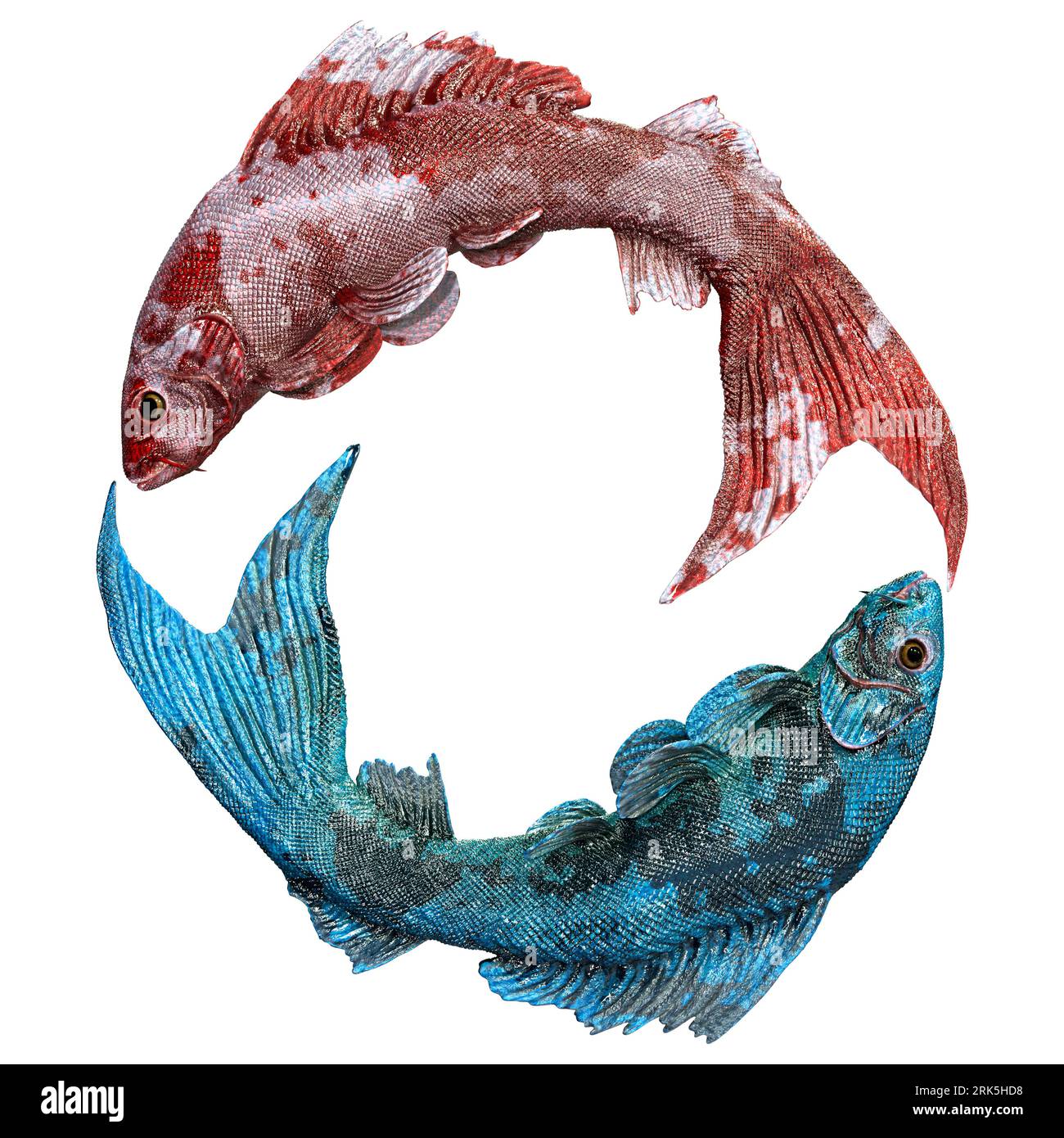 3D rendering of a Pisces zodiac sign with red and blue fish isolated on ...