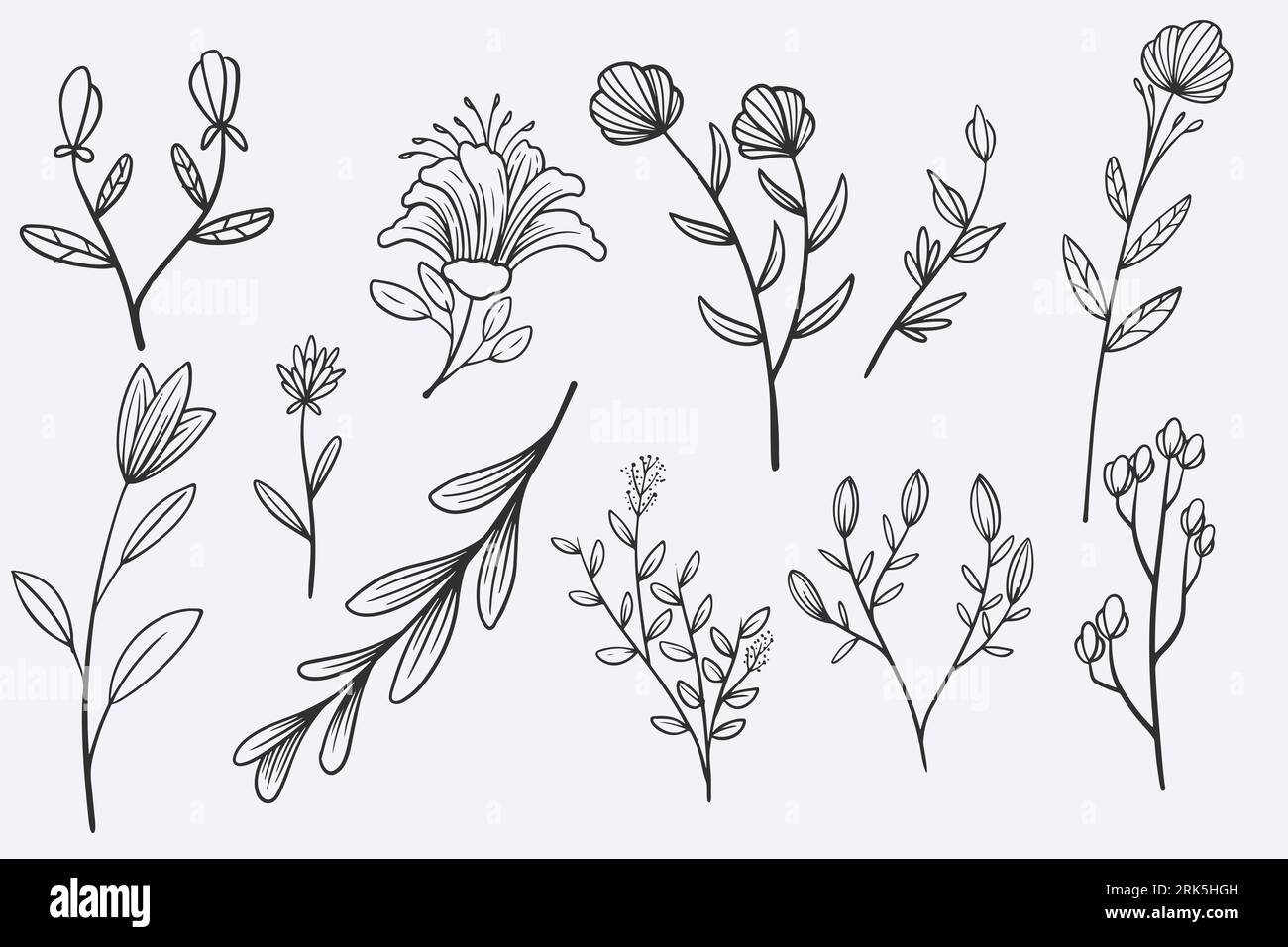 flower leaves doodle hand drawn vector illustration set Stock Vector ...