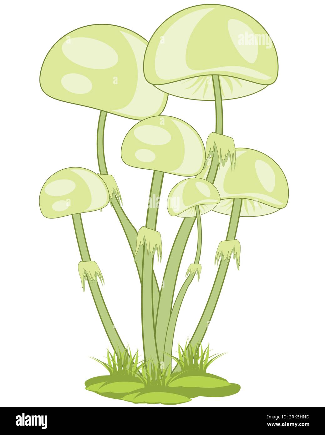 Vector illustration uneatable dangerous mushroom on herb Stock Vector ...