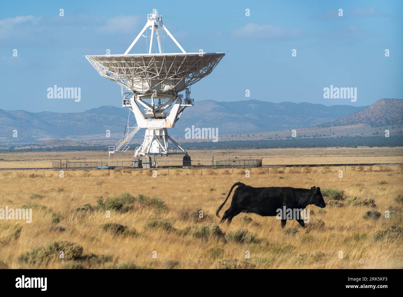 Galactic mapping hi-res stock photography and images - Alamy