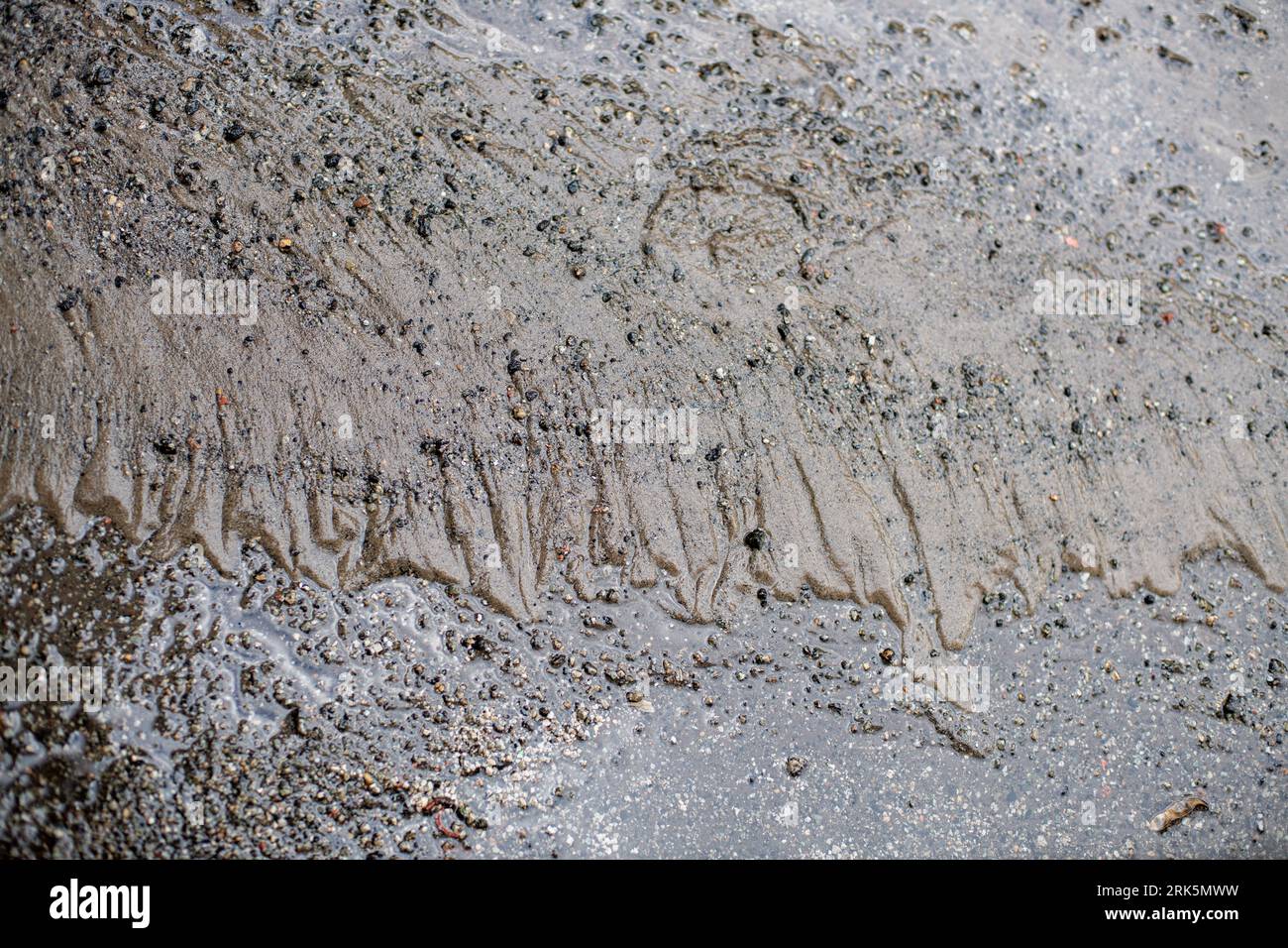 Rain puddles ground hi-res stock photography and images - Alamy