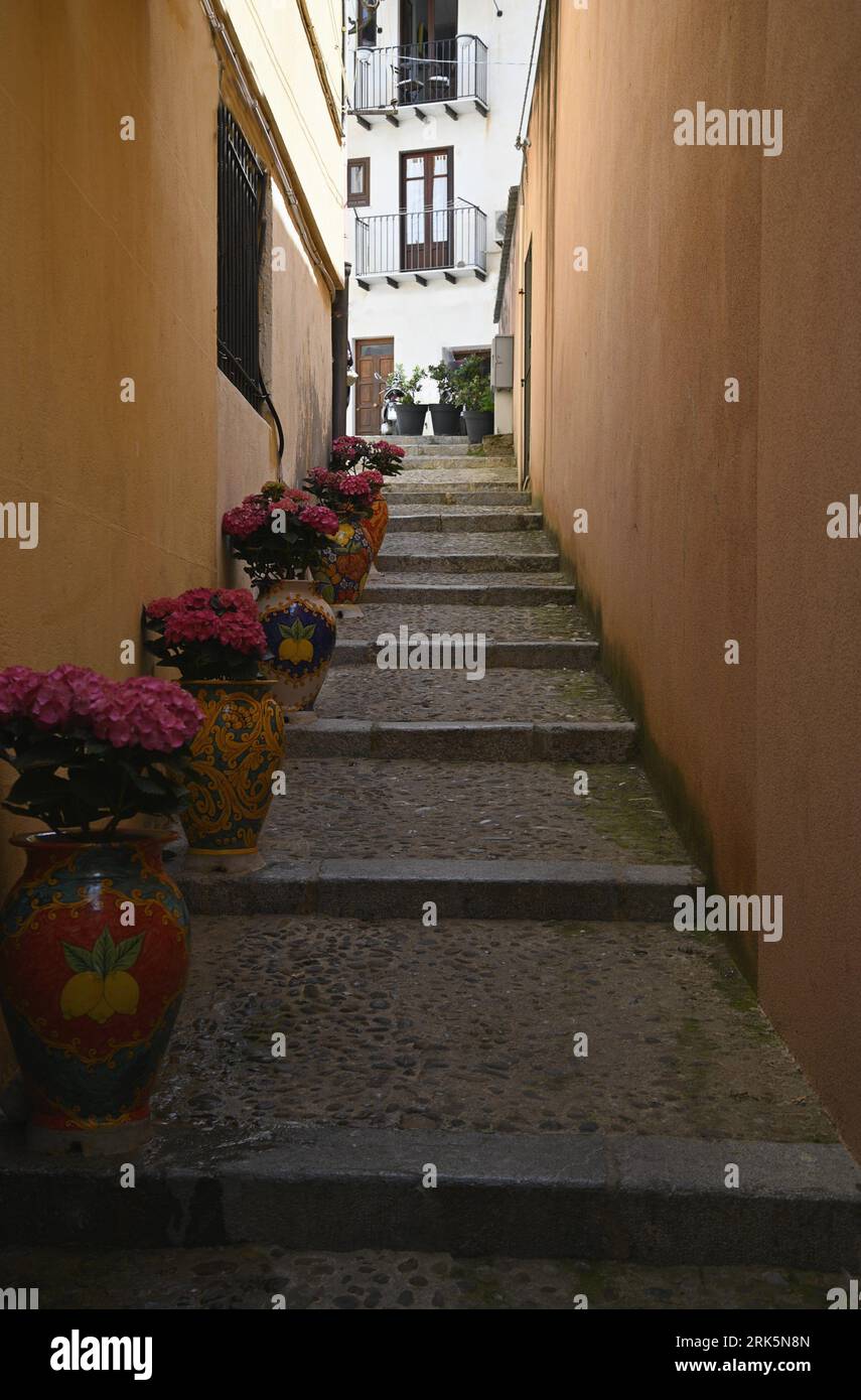 Colorful Sicilian Majolica planters on the stone steps of Scalinata ...