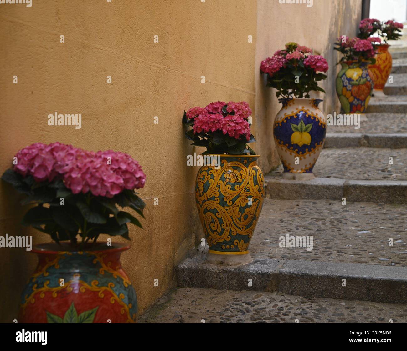 Colorful Sicilian Majolica planters on the stone steps of Scalinata ...