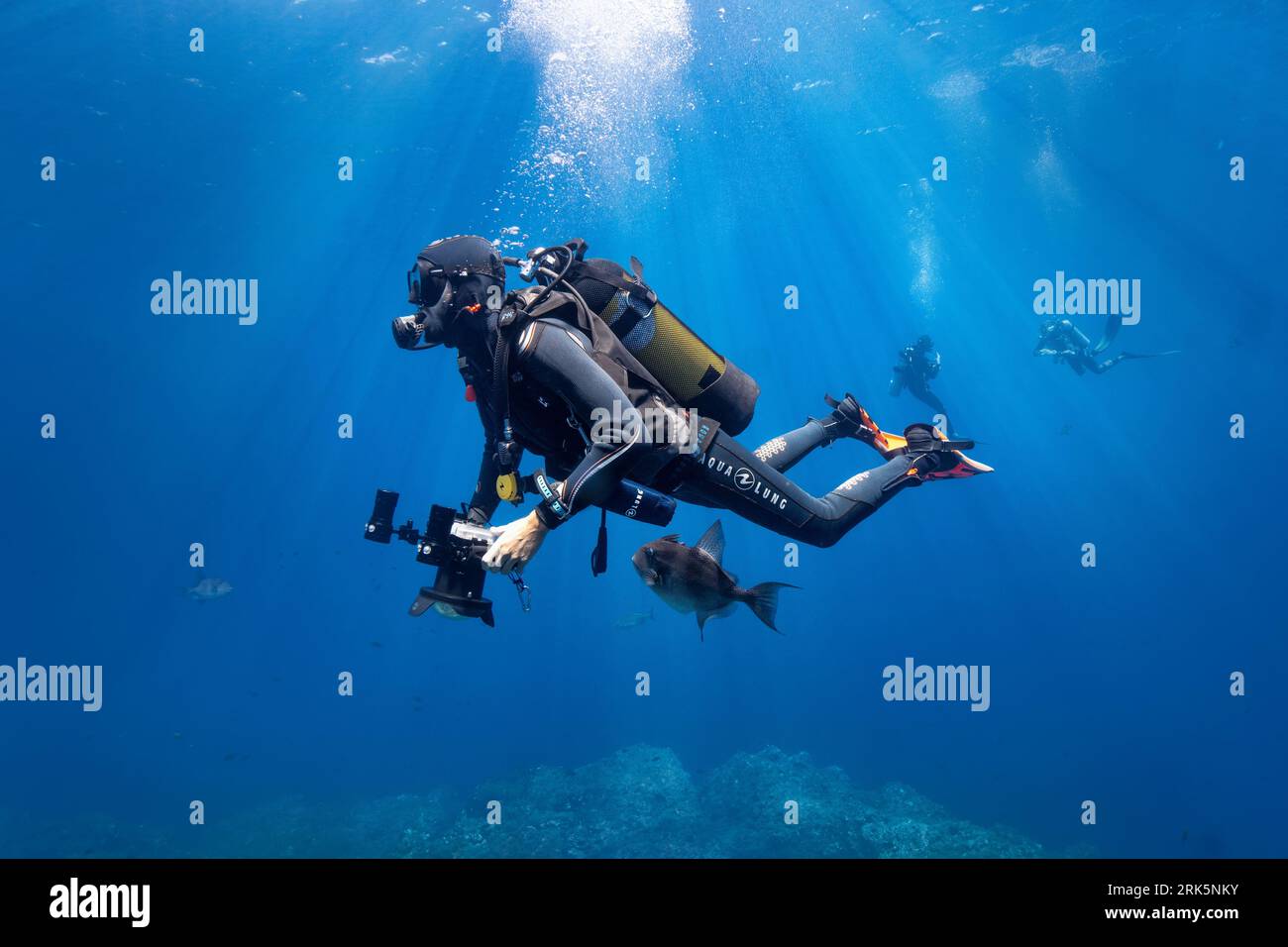 A scuba diver enjoying the beauty of the underwater world, surrounded ...