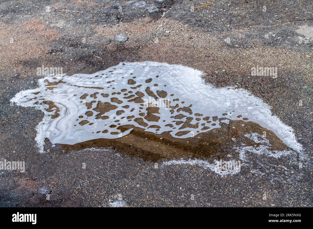 Small Puddle Of Water