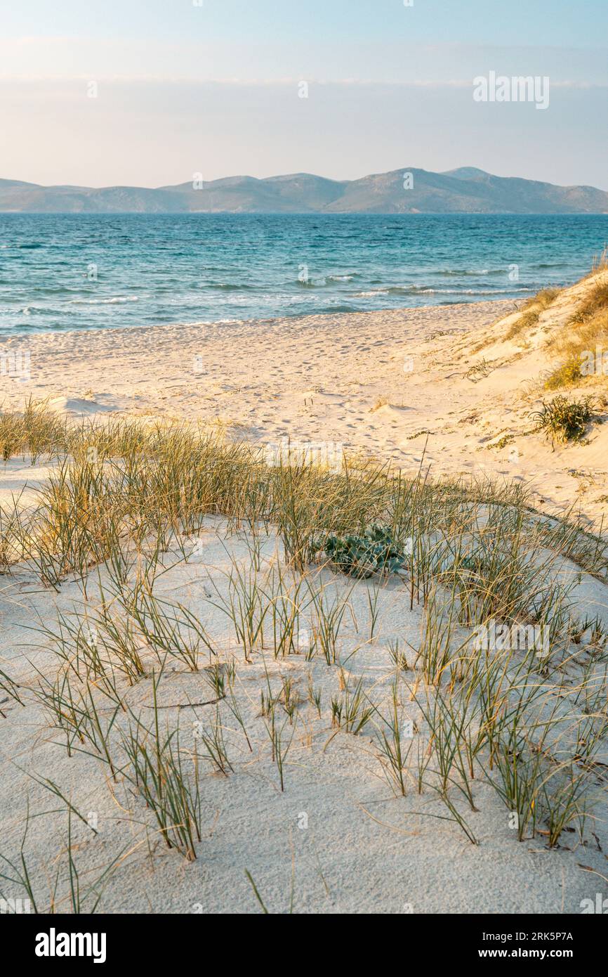 Beautiful Marmari beach with golden sand during sunset. Kos island ...