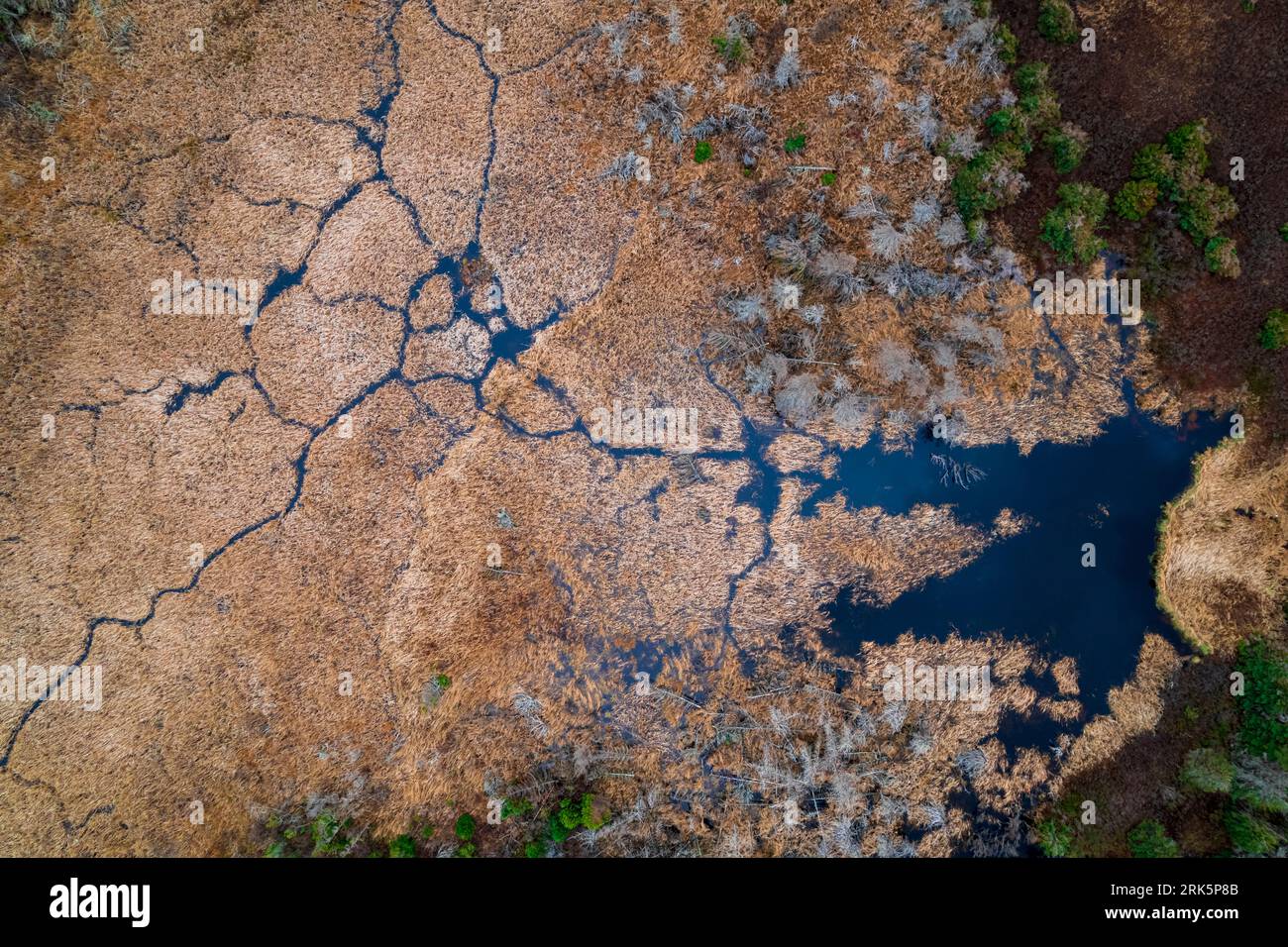 Aerial drone image of water and marsh patterns. Prince Edward Island ...