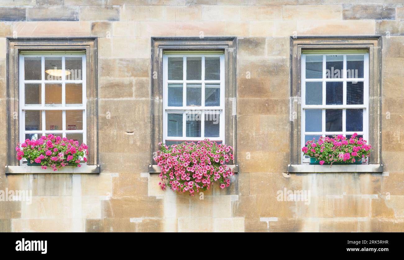 Historic middle ages medieval architecture higher education learning ...