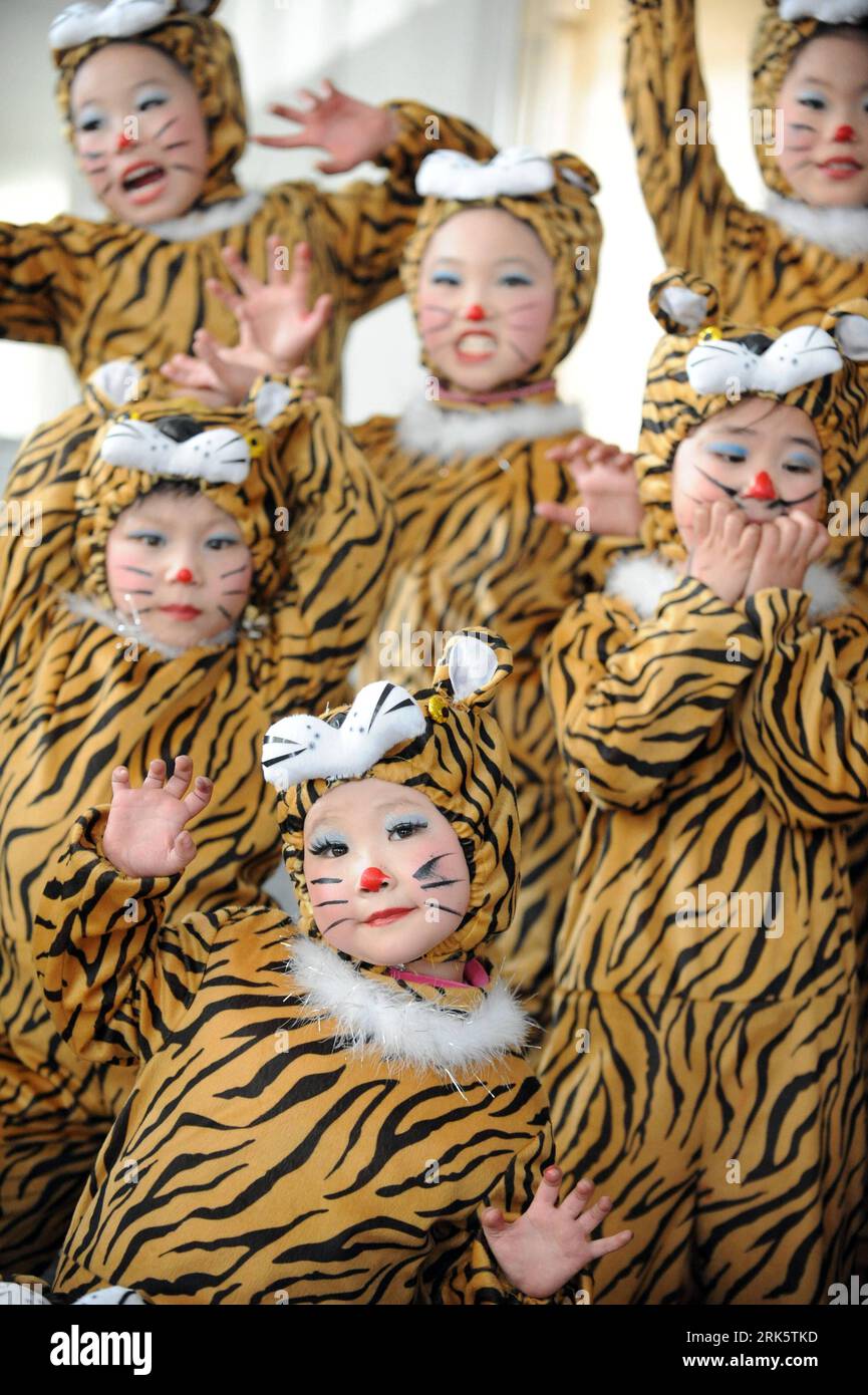 Tiger dance hi-res stock photography and images - Alamy