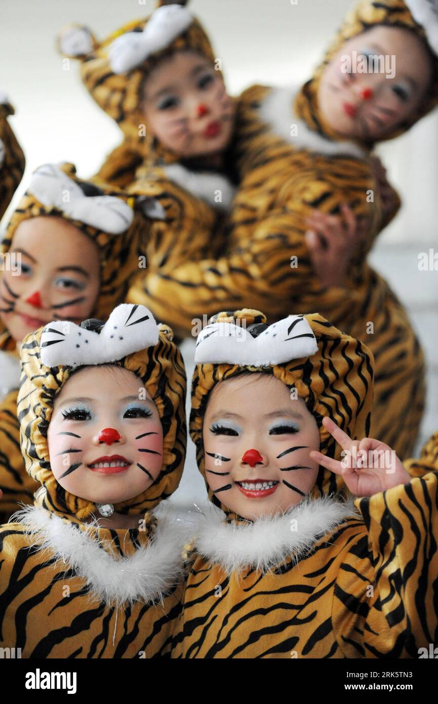 Tiger dance hi-res stock photography and images - Alamy