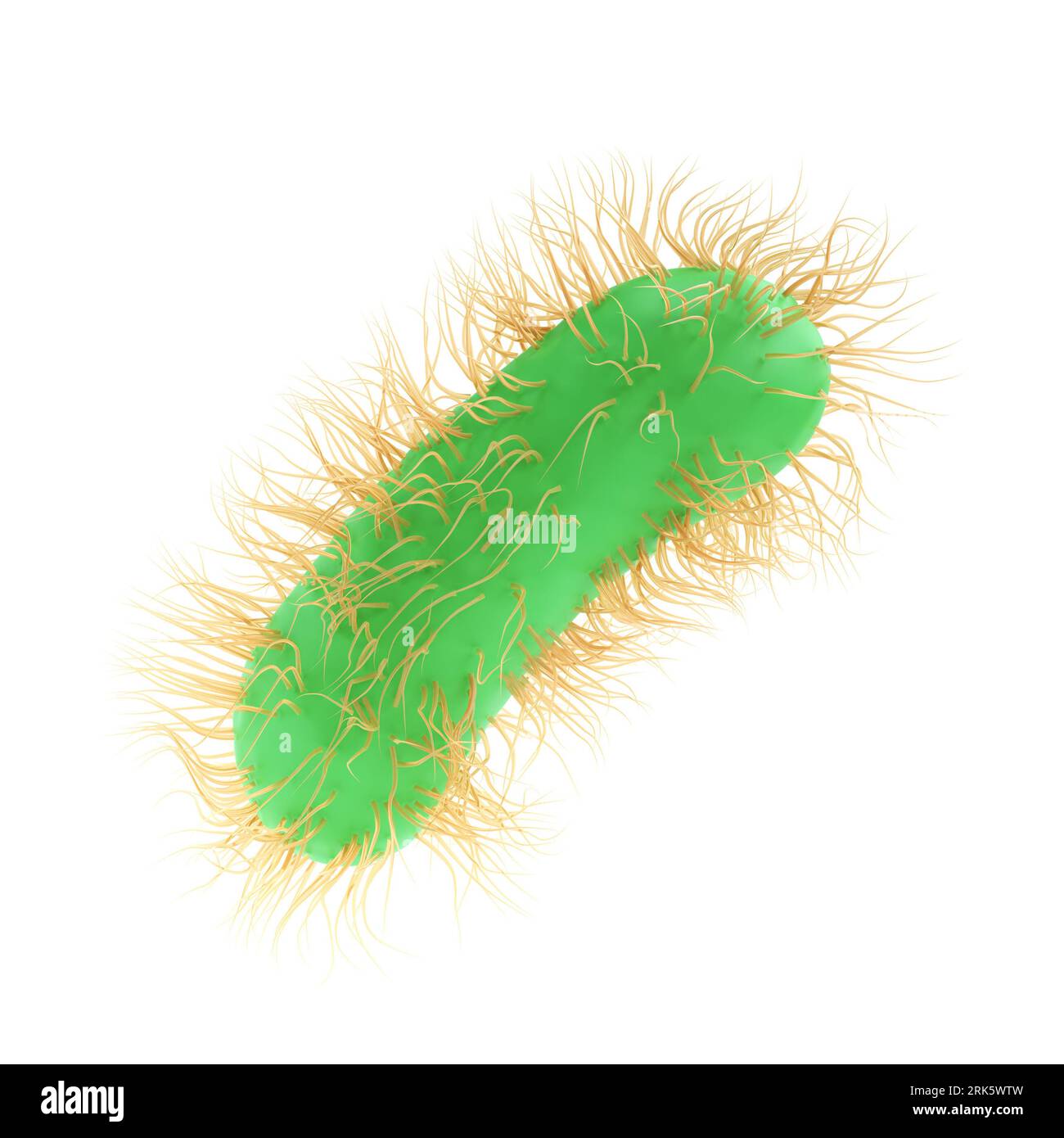 3d render illustration Escherichia Coli of Pathogenic bacterium ...