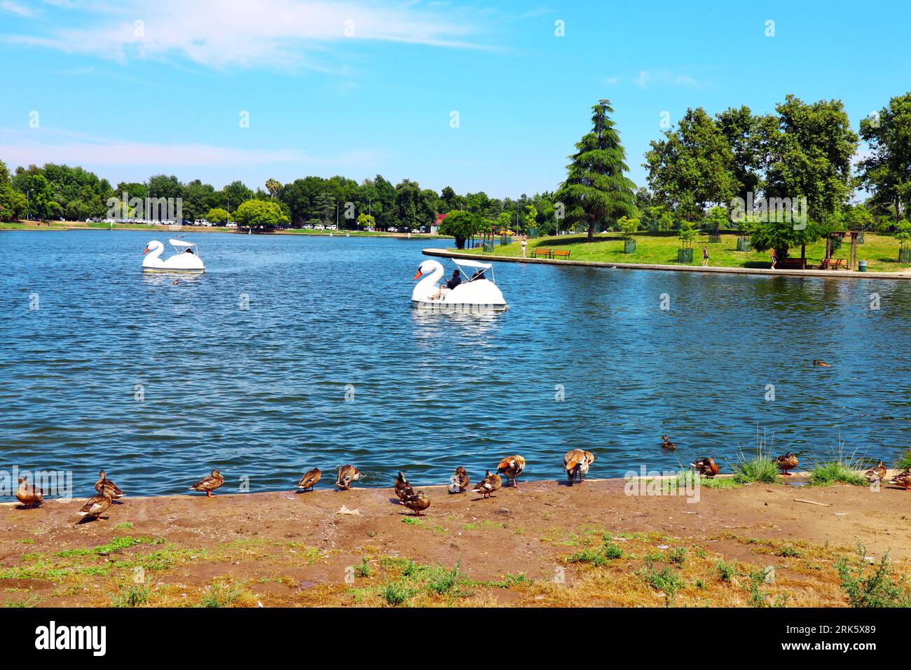 Los Angeles, California: Lake Balboa - Anthony C. Beilenson Park at ...