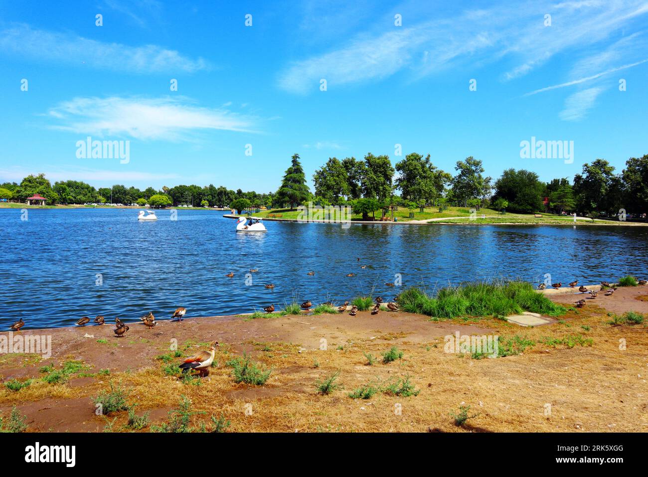 Los Angeles, California: Lake Balboa - Anthony C. Beilenson Park at ...