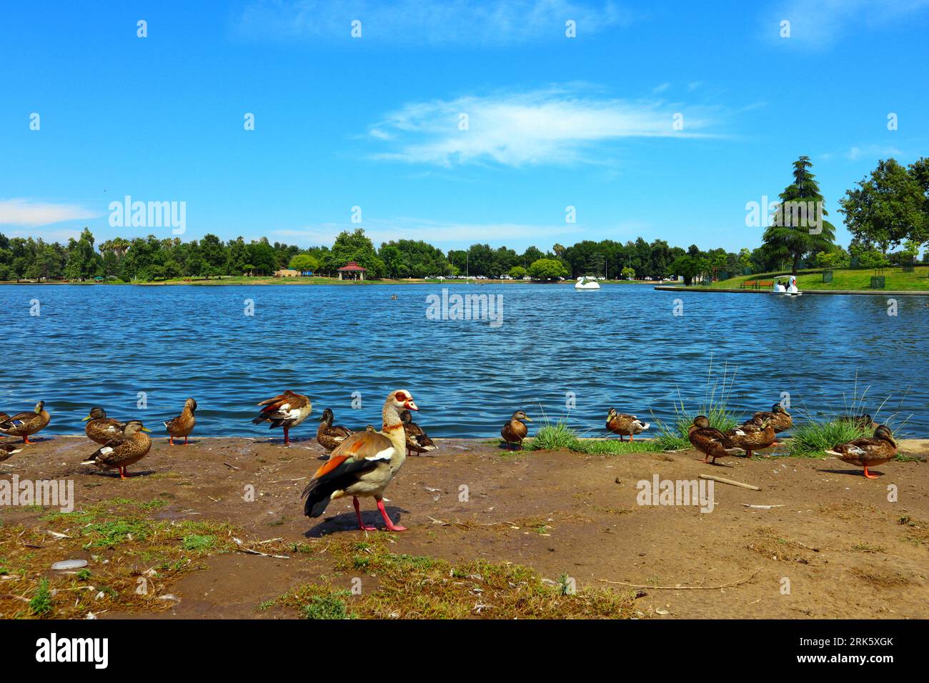 Los Angeles, California: Lake Balboa - Anthony C. Beilenson Park at ...