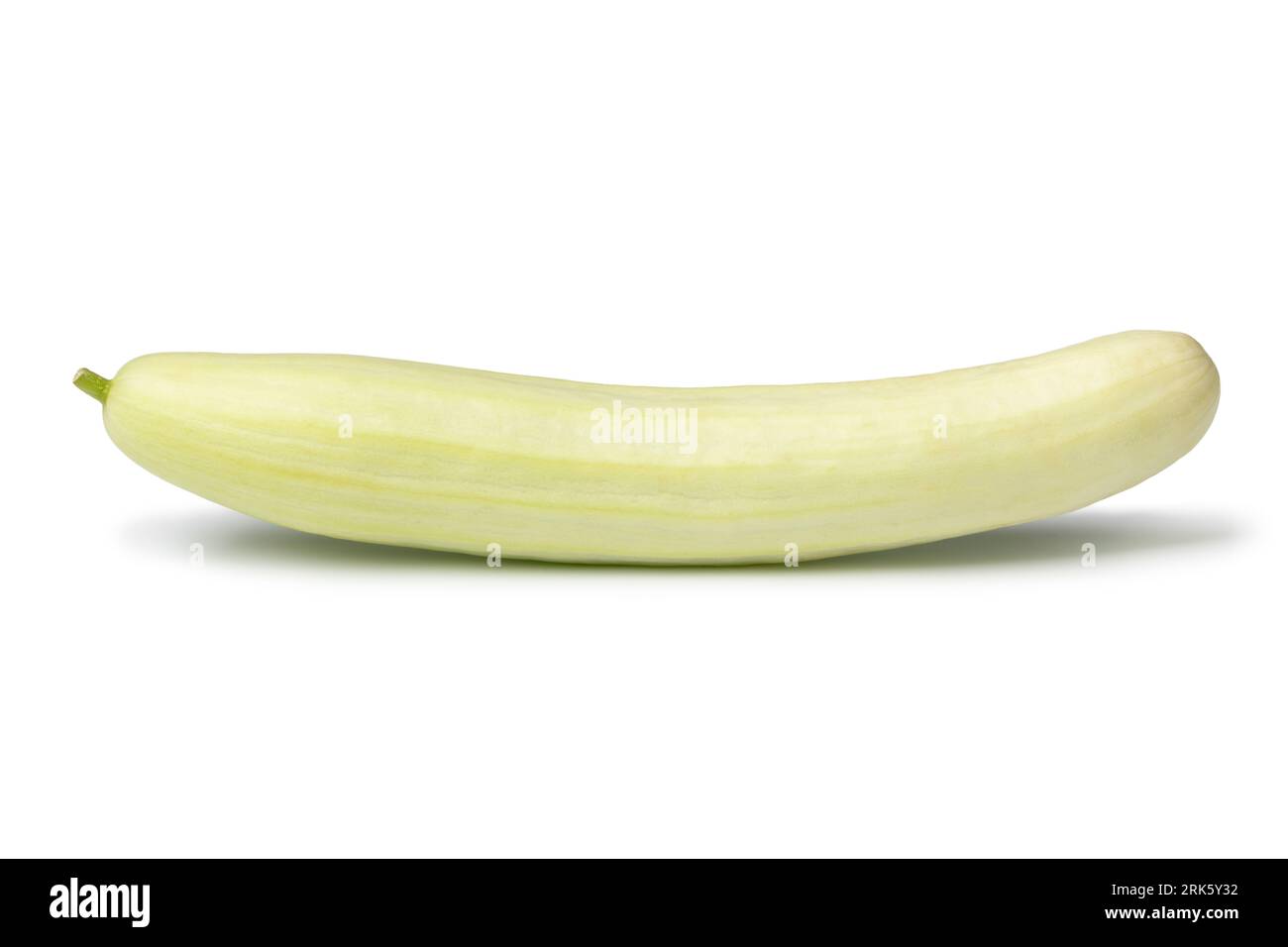 Single fresh white cucumber close up isolated on white background Stock ...