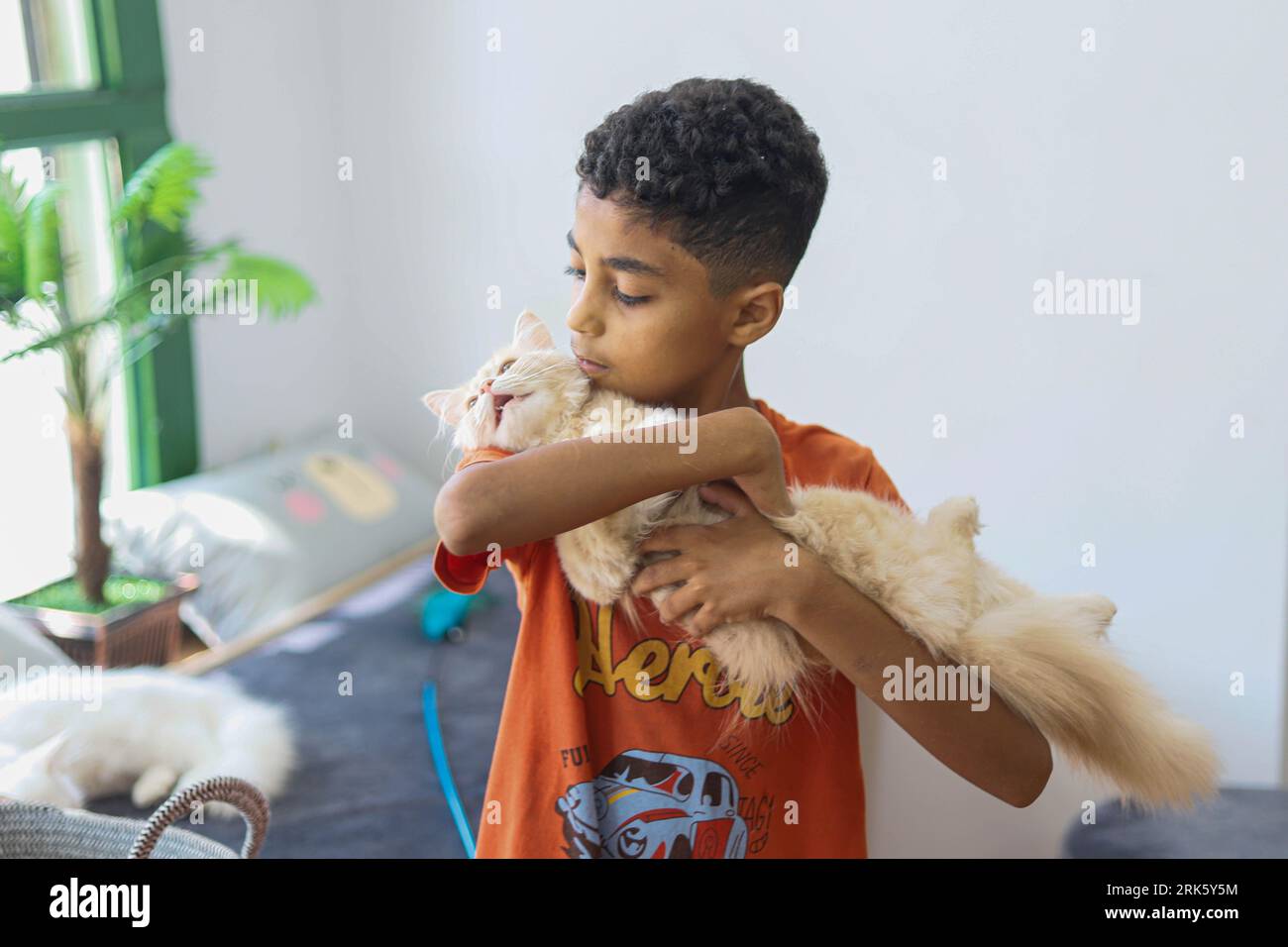 Gaza, Palestine. 24th Aug, 2023. First cat cafe 'Meow Cat Cafe' in Gaza ...