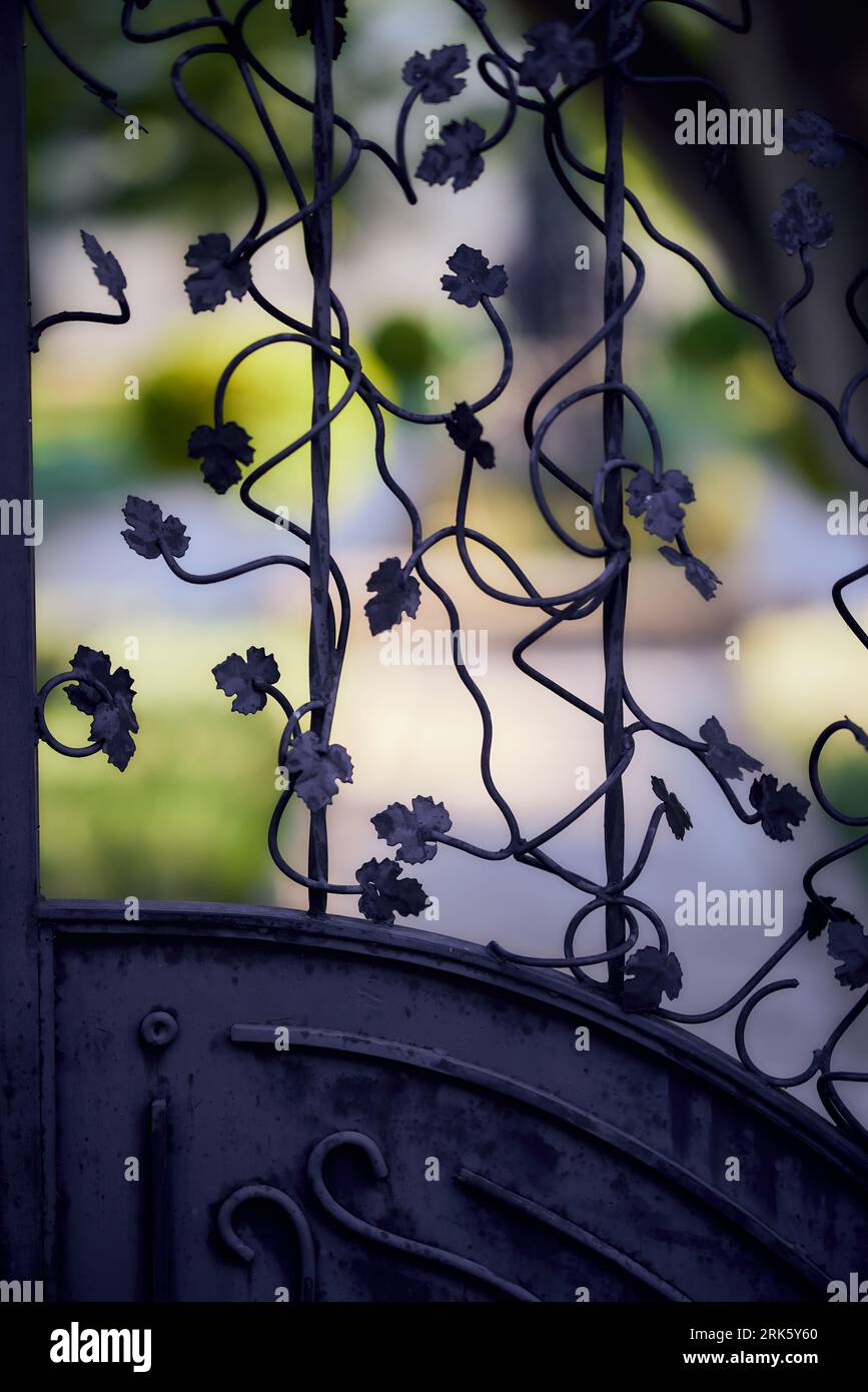 Floral metal gate hi-res stock photography and images - Alamy