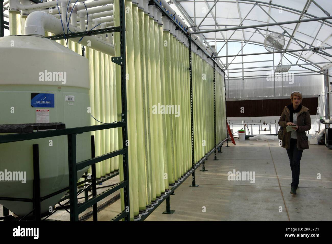 Algae biofuel hi-res stock photography and images - Alamy