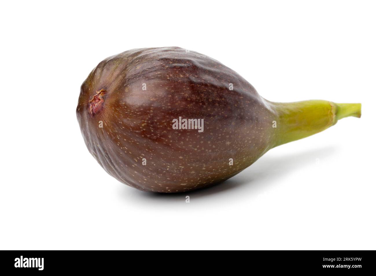 Single fresh purple fig isolated on white background close up Stock ...