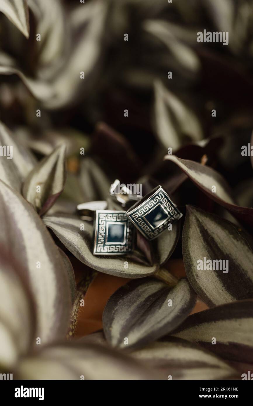 Two silver-toned metal cufflinks laid on a bed of lush and vibrant ...