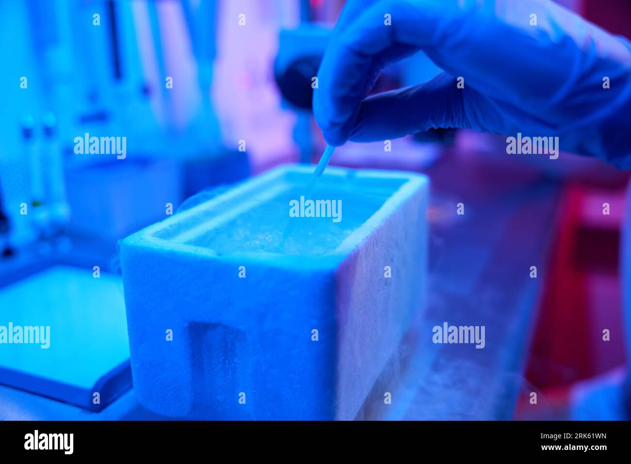 Lab worker immerses straw with embryo in tank of liquid nitrogen Stock Photo - Alamy