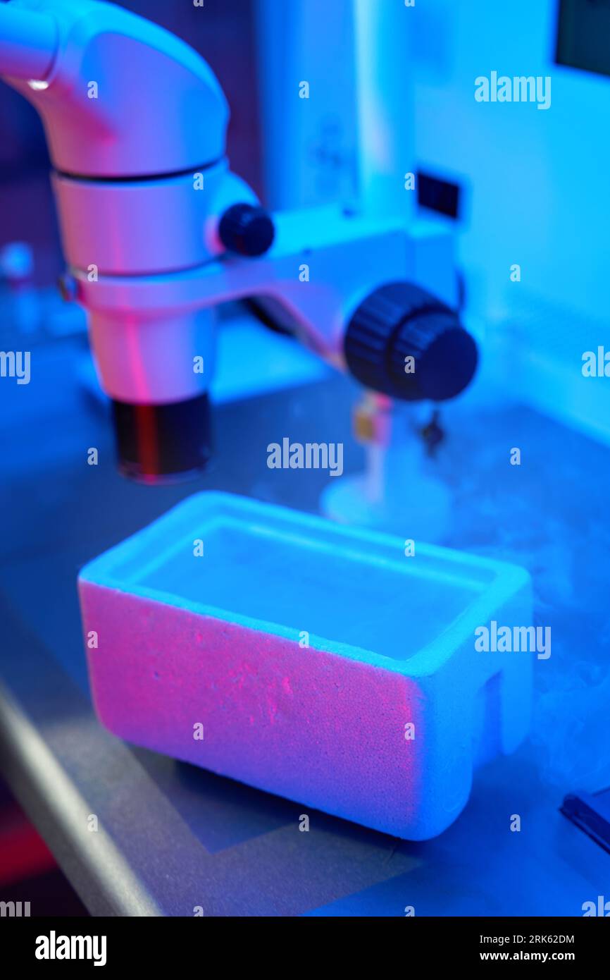 Modern laboratory devices for preparing biomaterial for freezing Stock ...