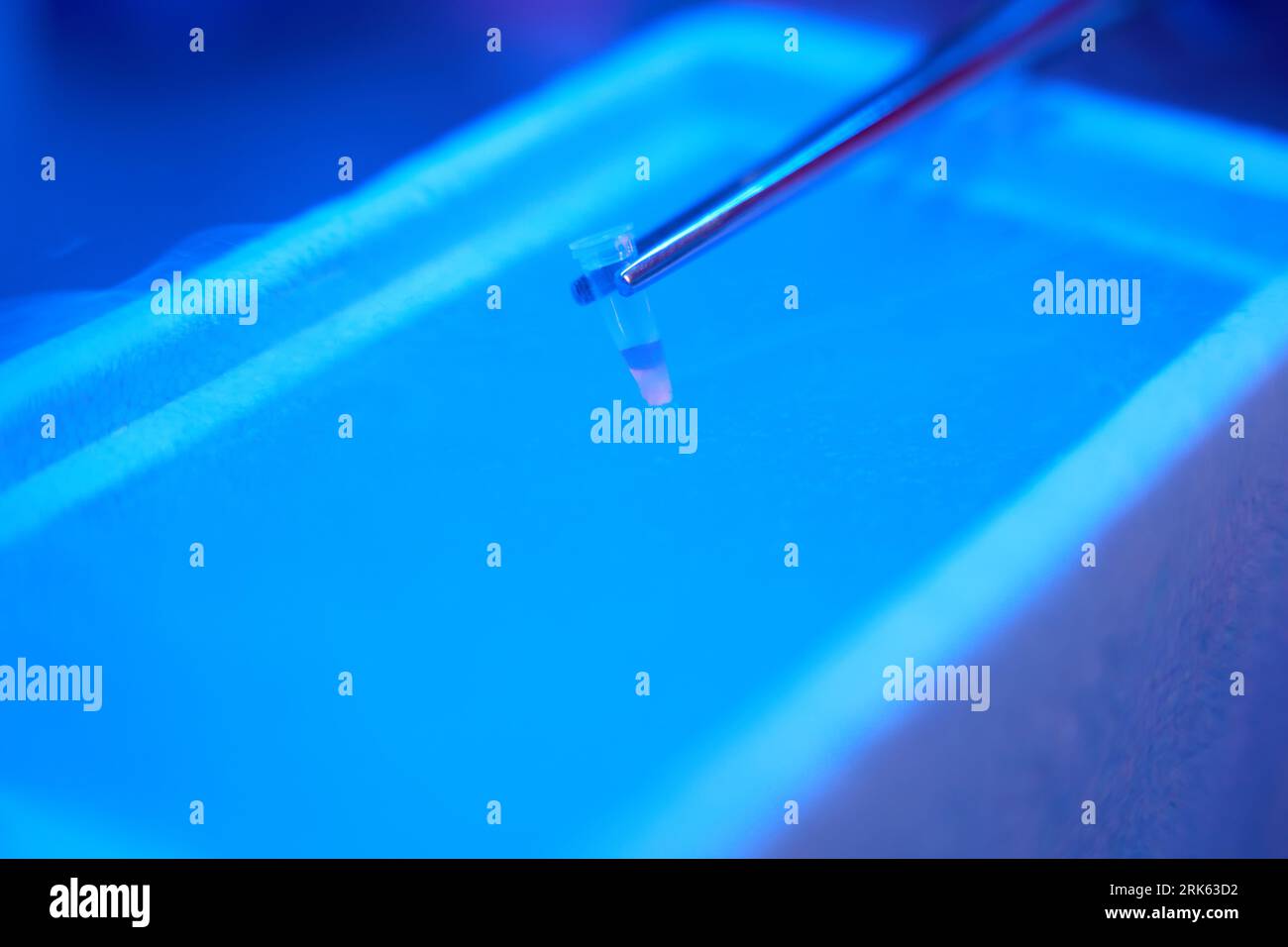 Cryobox hi-res stock photography and images - Alamy