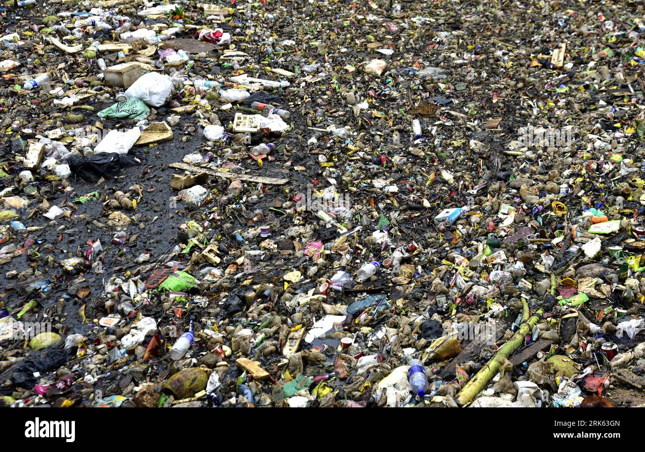 Guwahati, Guwahati, India. 24th Aug, 2023. A view of the polluted ...