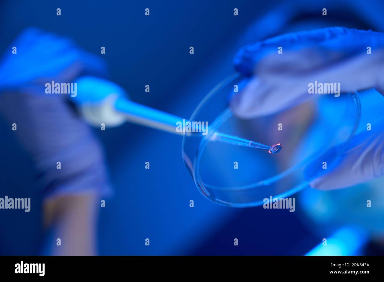 Man in uniform manipulates biomaterial in a modern laboratory Stock ...