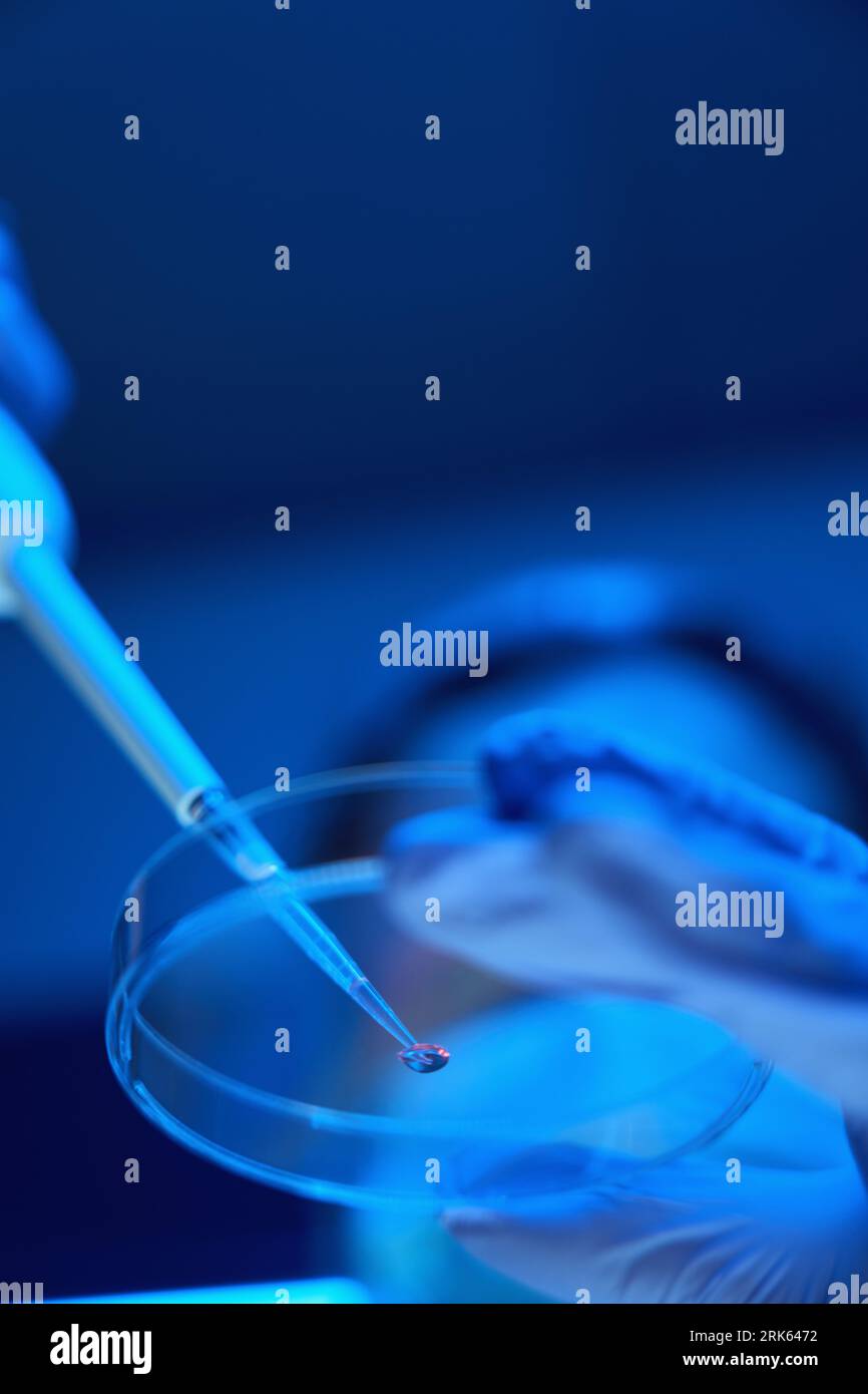 Laboratory assistant manipulates the biomaterial in a modern laboratory ...