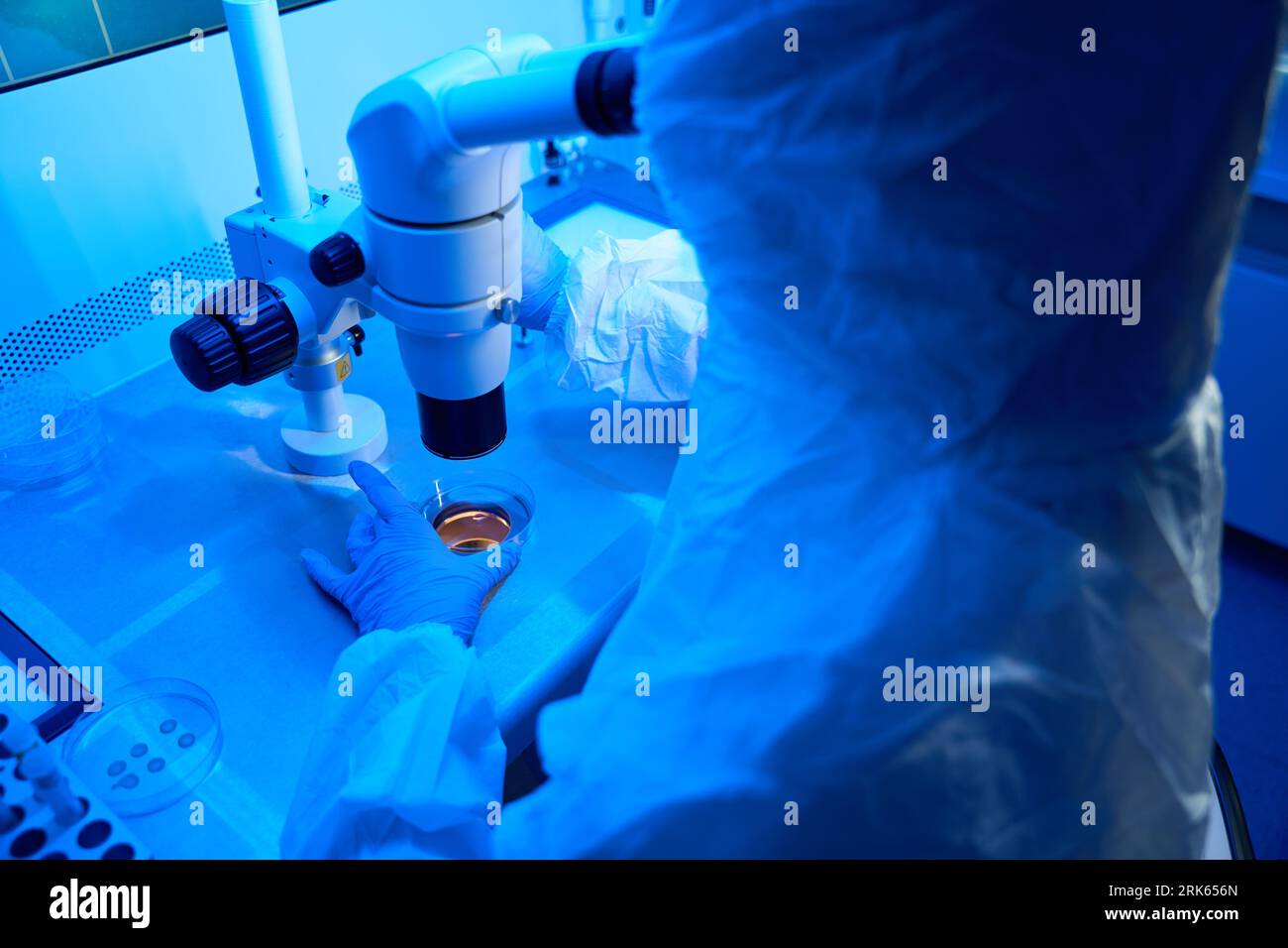 Laboratory employee in a sterile room performs biopsy of embryos Stock ...