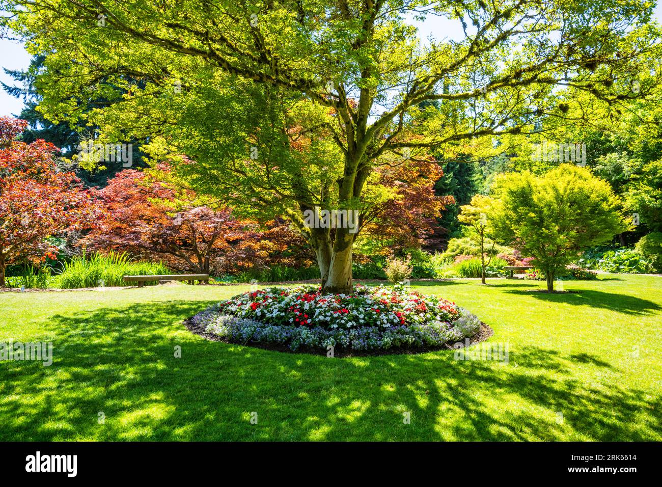 Decorative floral planting at VanDusen Horticultural Garden, Vancouver ...