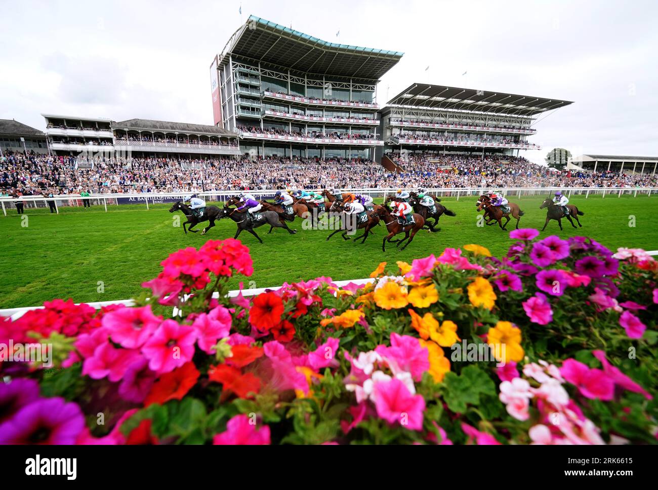 Goffs uk harry beeby premier yearling stakes hi-res stock photography ...