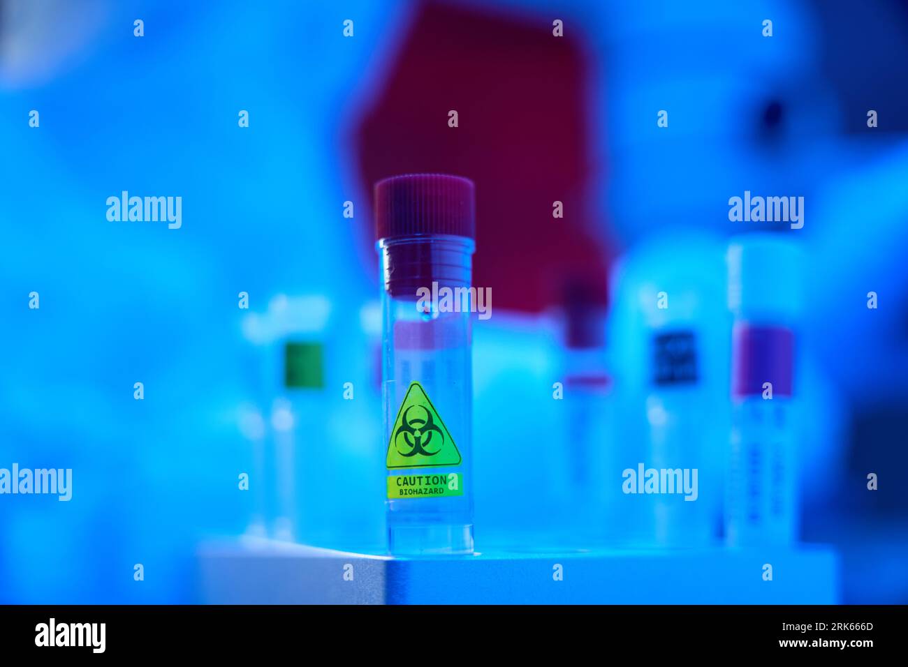 Special laboratory box with test tubes Stock Photo - Alamy