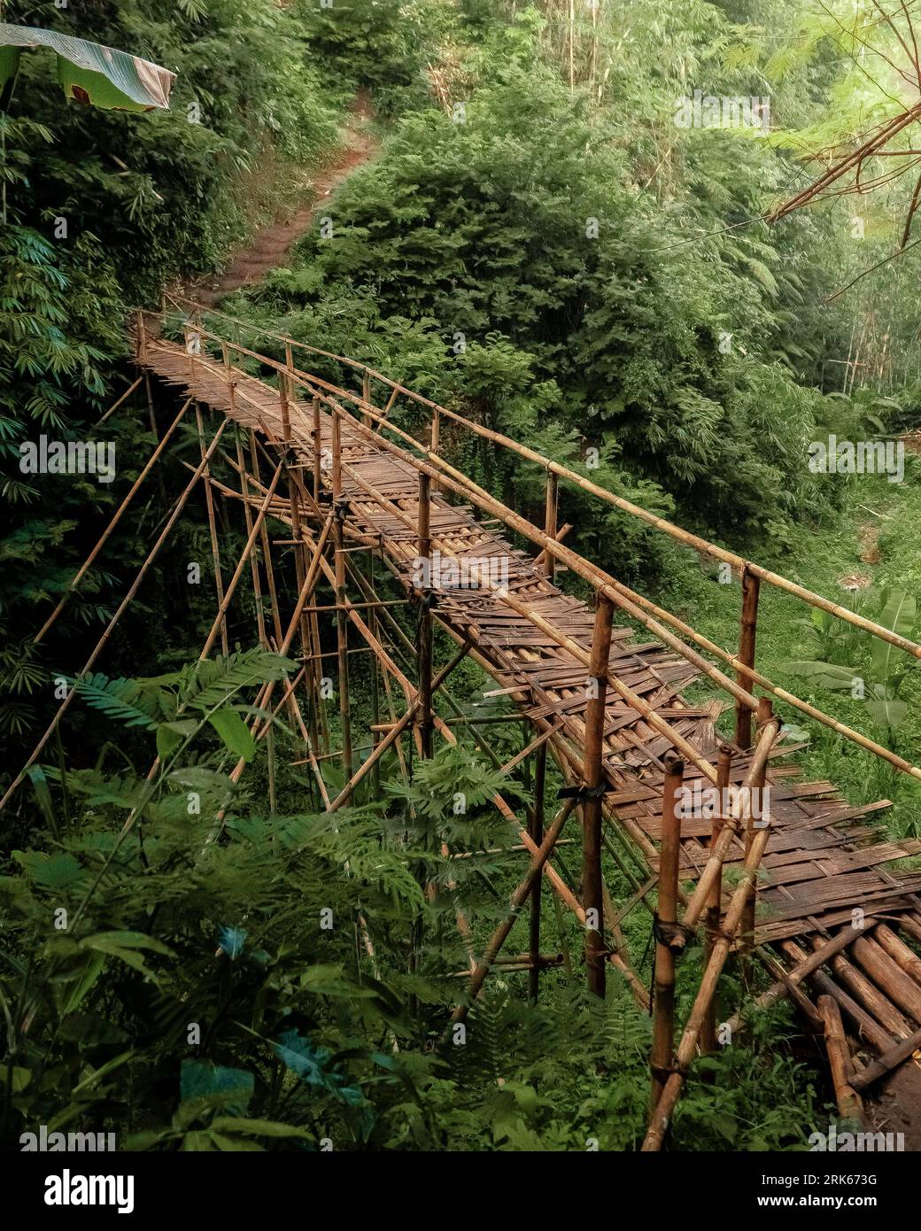 A picturesque wooden bridge in a lush tropical rainforest Stock Photo ...