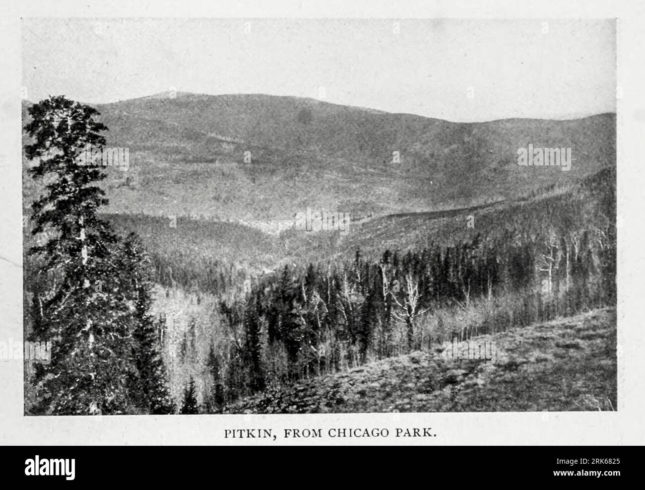 Pitkin From Chicago Park from the Article THE LESS-KNOWN GOLD FIELDS OF ...