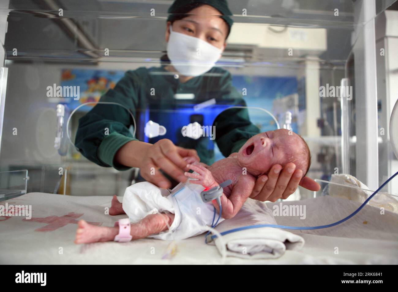 Premature and normal hi-res stock photography and images - Alamy