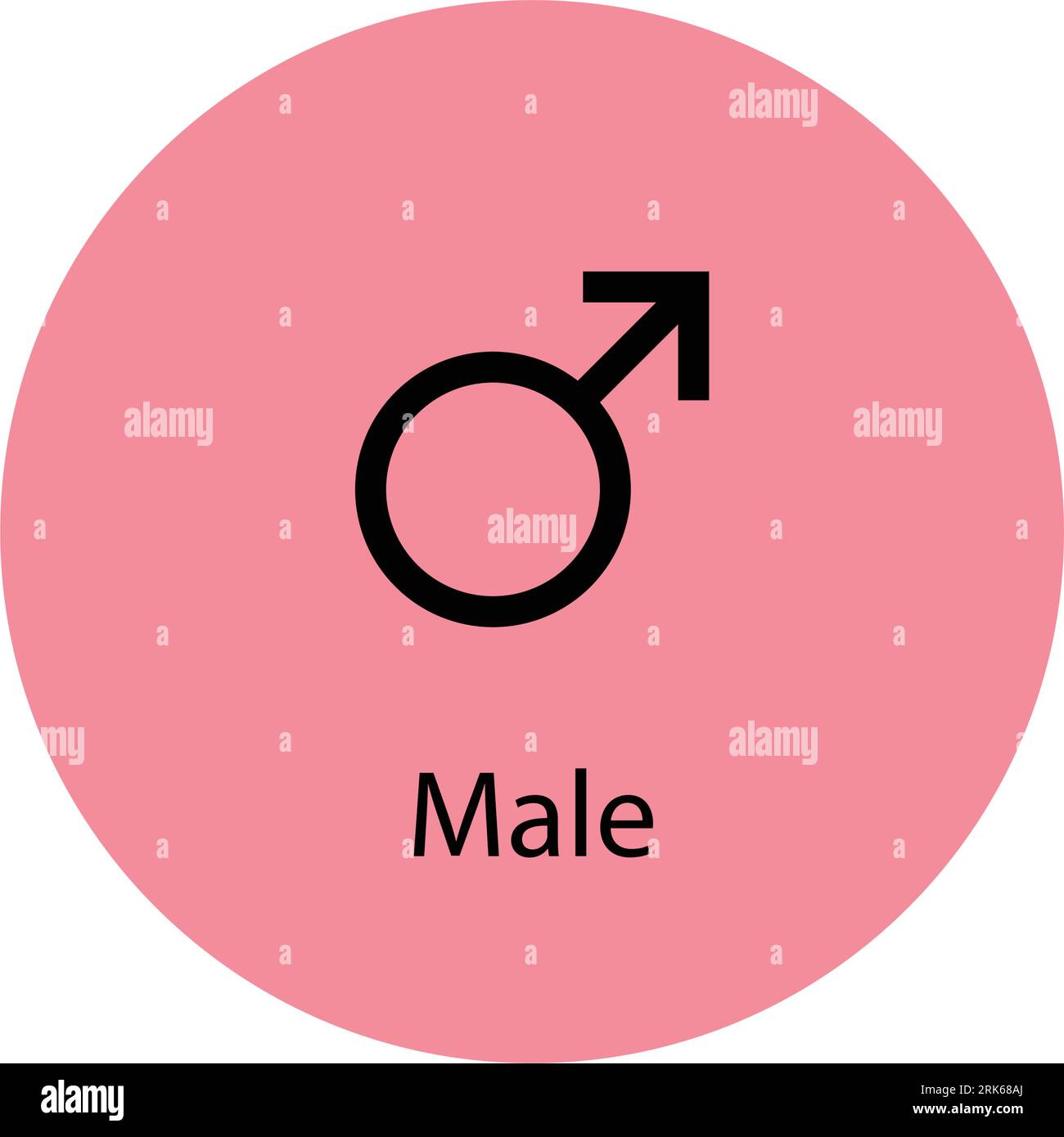 Male Symbol icon. Gender icon. vector sign isolated on a white ...