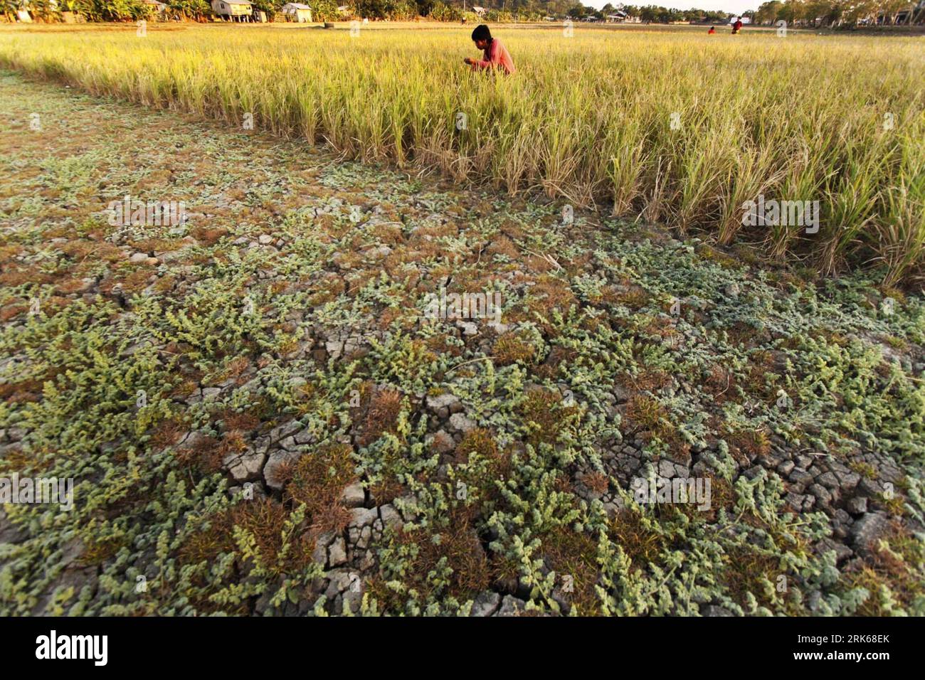 65 pesos hi-res stock photography and images - Alamy