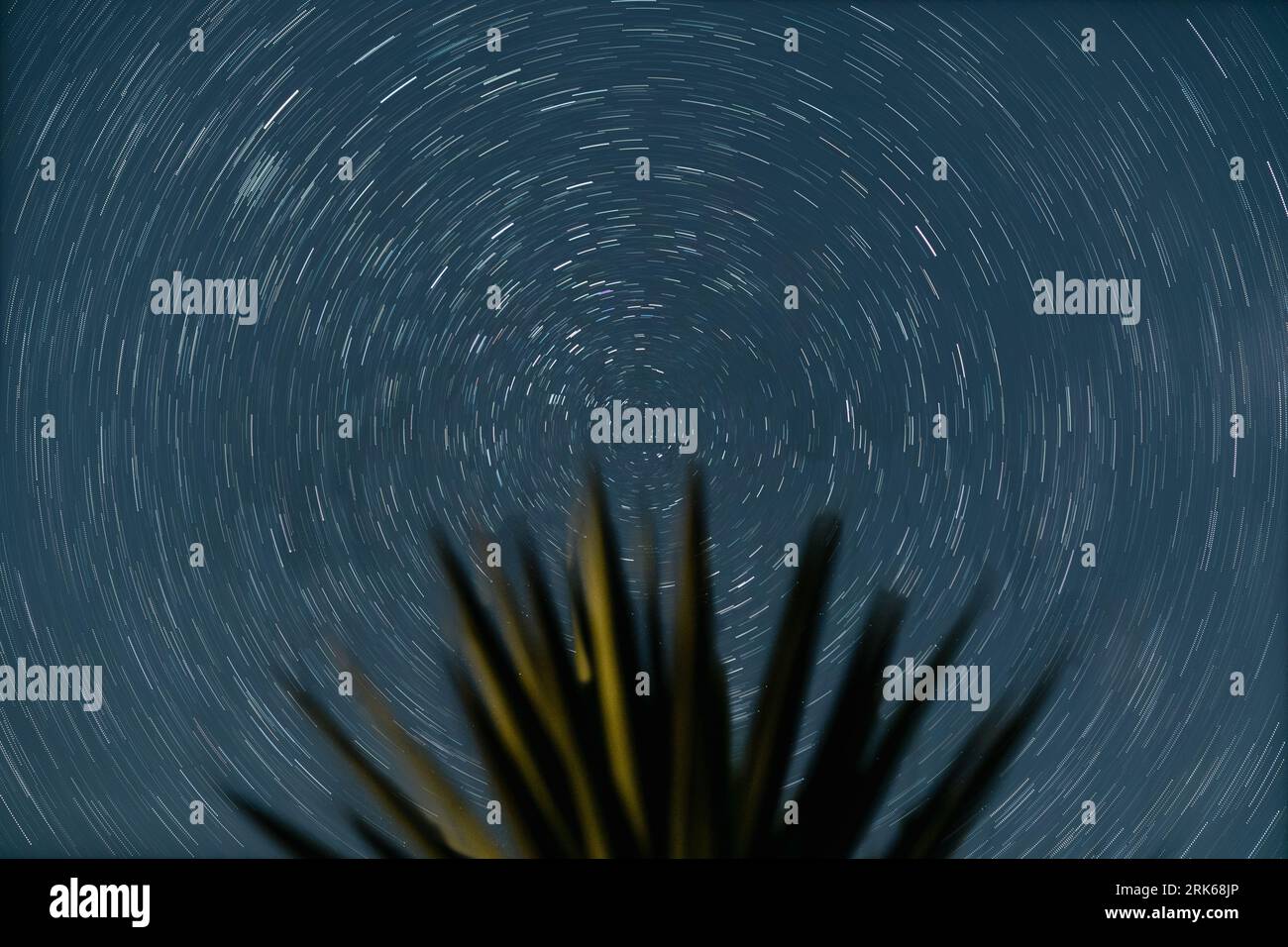 A stunning landscape featuring star-shaped tails illuminated against a ...