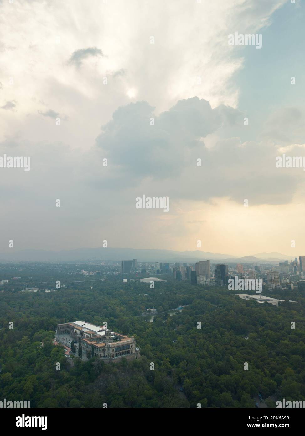 Chapultepec trees hi-res stock photography and images - Alamy