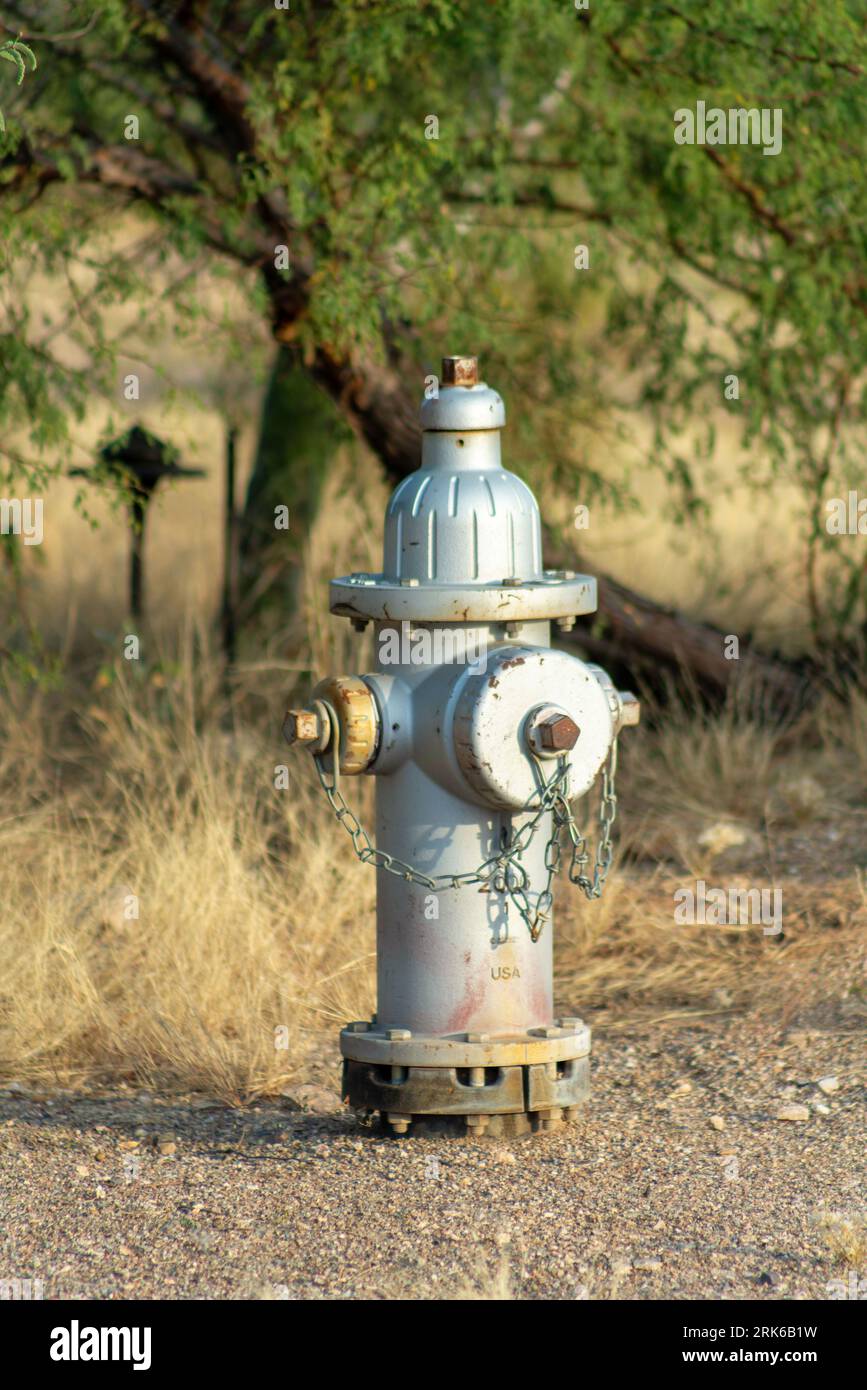 A fire hydrant is situated on a grassy field surrounded by trees Stock ...