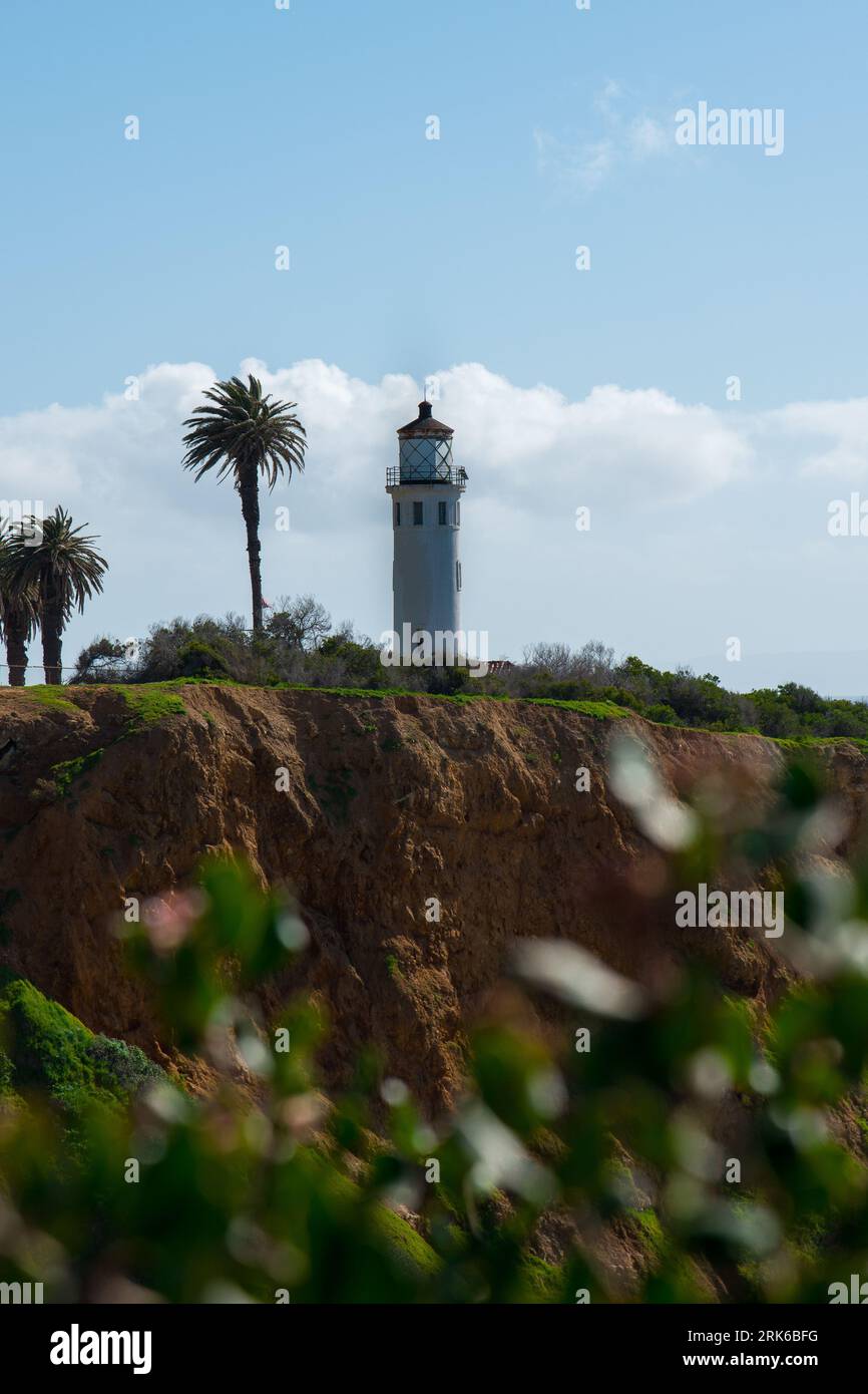 A lighthouse standing tall on a hill surrounded by lush palm trees ...